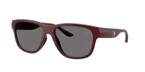 SCUDERIA FERRARI Sunglass Fz6028u - Dark Grey Polarized