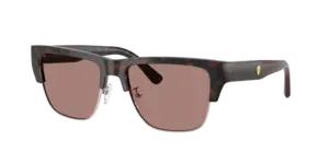 SCUDERIA FERRARI Sunglasses - Brown