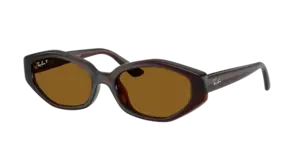 Ray-ban Sunglass Rb4473d Dark Brown Polar