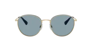 Polo Ralph Lauren Sunglasses - Azure