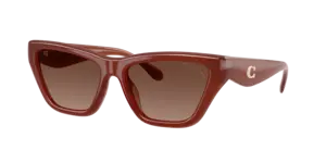 COACH Coach Sunglasses Brown Gradient Polarized