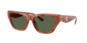 COACH Sunglasses - Green Solid