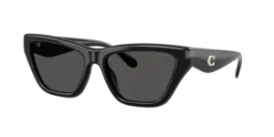 COACH Sunglasses - Grey Solid