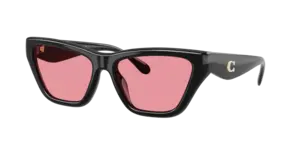 COACH Coach Sunglasses Pink Solid