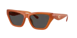 COACH Sunglasses - Wine Solid