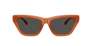 COACH Sunglasses - Wine Solid