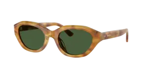 Polo Ralph Lauren Sunglass Ph4237u - Dark Green