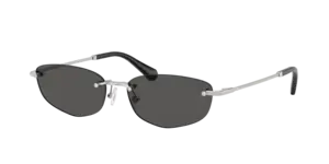 SWAROVSKI Sunglasses - Dark Grey