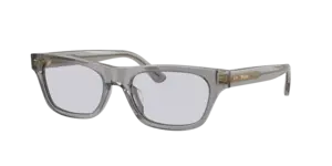Polo Ralph Lauren Sunglasses - Lillac