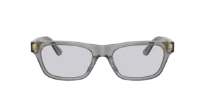 Polo Ralph Lauren Sunglasses - Lillac