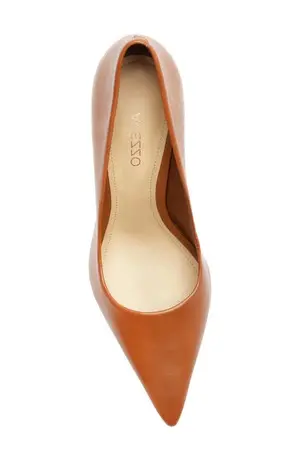 AREZZO Emily Pointed Toe Pump