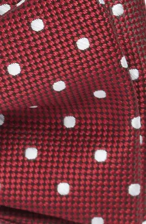 CLIFTON WILSON Polka Dot Silk Bow Tie - Maroon