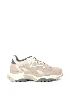 Ash Addict Lace-up Sneakers - Neutrals