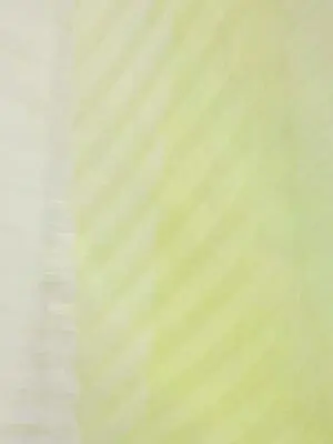 Issey Miyake Feather Ramie Pleats Stole Scarf - Green