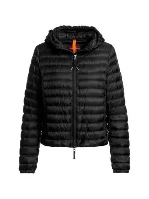 PARAJUMPERS Padded Puffer Jacket - Black