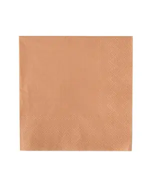 JOLLITY & CO Solid Shade Colors, Paper Party Large Napkins, Set Of 16 Sand