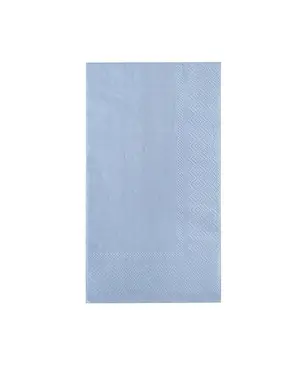 JOLLITY & CO Solid Shade Colors, Paper Party Guest Napkins, Set Of 16 Wedgewood