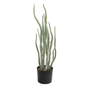 STORIED HOME Euphorbia Plant In Pot - Green