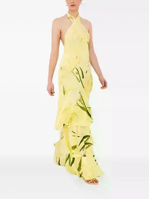Cara Cara Lillian Amethyst Ruffled Floral-print Dress - Yellow