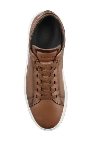 To Boot New York Calfskin Leather Low-profile Sneakers - Tan