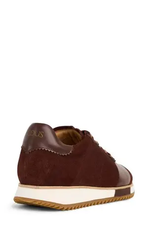 THE OFFICE OF US The Quinn Lace-up Sneakers - Chocolate
