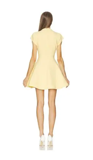 Bardot Beckett High Neck Mini Dress