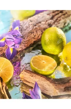 ROJA Oceania Parfum