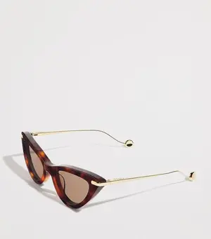 JOSEPH Cat Eye Laarous Sunglasses