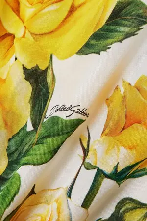Dolce & Gabbana Floral-print Organza Blouse