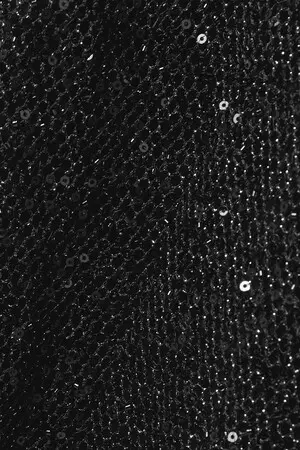 Proenza Schouler Sophie Embellished Metallic Fishnet Top