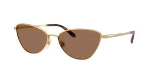 Ralph Lauren Sunglasses - Brown