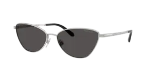 Ralph Lauren Sunglass Rl7093 - Dark Grey