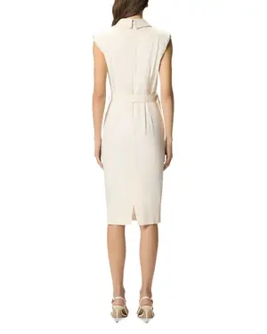 Pinko Amadine Dress - C