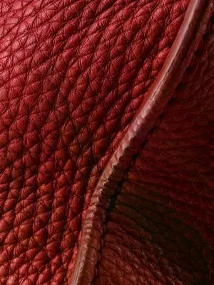 Celine Luggage Bag Grainy Leather Mini Tote - Red