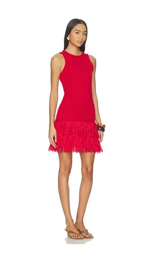 Saylor Mick Knit Dress With Fringe Hem