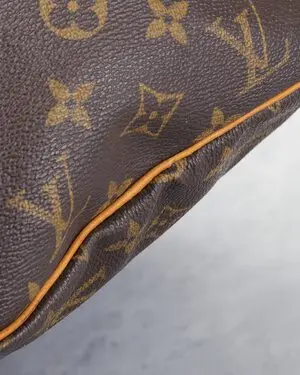 FWRD RENEW Louis Vuitton Monogram Speedy 30 Handbag - Brown