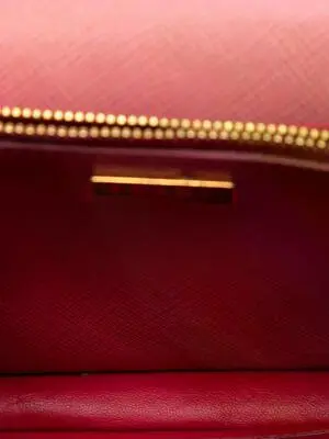 Prada 2010-2026 Bicolor Saffiano Lux Wallet On Strap - Pink