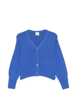 Incentive! Cashmere Buttoned V-neck Cashmere Cardigan - Blue