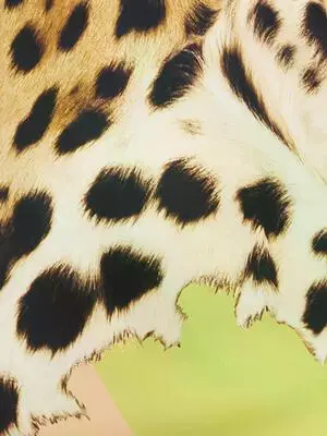 Roberto Cavalli Animal-print Maxi Dress - Neutrals