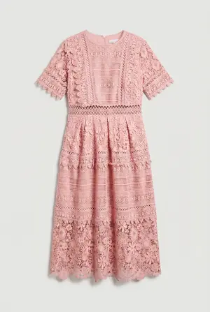 Coast Embroidered Lace Midi Dress - Blush