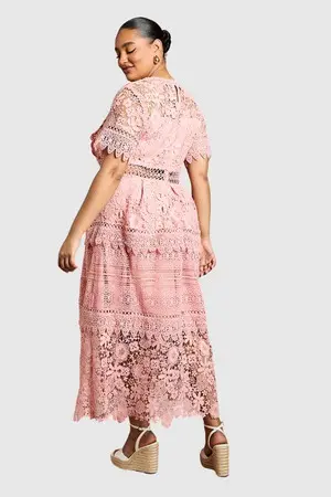 Coast Embroidered Lace Midi Dress - Blush
