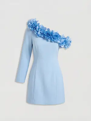 Coast 3d Floral One-shoulder Mini Dress - Blue
