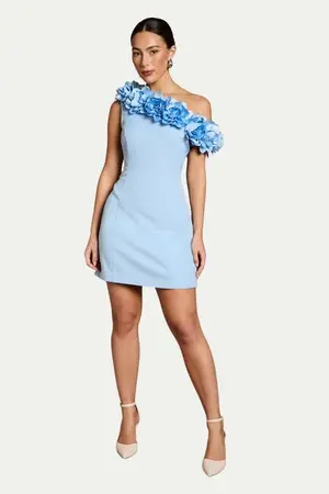 Coast 3d Floral One-shoulder Mini Dress - Blue