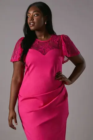 Coast Plus Lace Panel Midi Dress