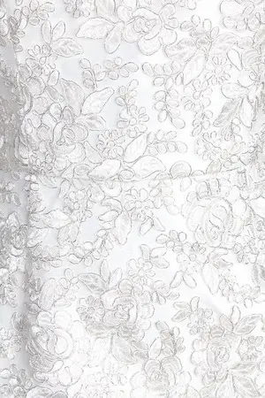 Coast Ornate Lace Maxi Dress