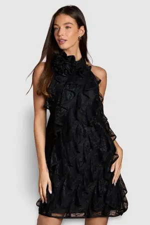 Coast Lace Frill Mini Dress