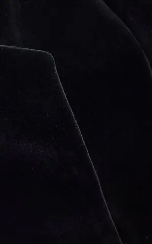 Brandon Maxwell Alora Single-breasted Bonded Velvet Jacket