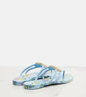 Dolce & Gabbana Floral Thong Sandals - Blue