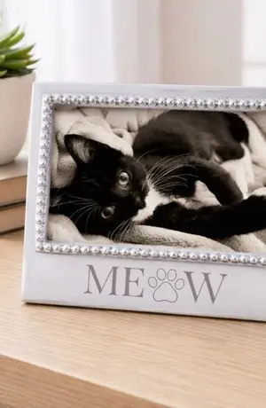 MARIPOSA Meow Beaded 4 X 6-inch Picture Frame
