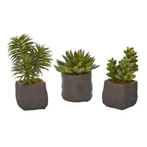NEARLY NATURAL Mixed Succulent Trio Artificial Plant - Green